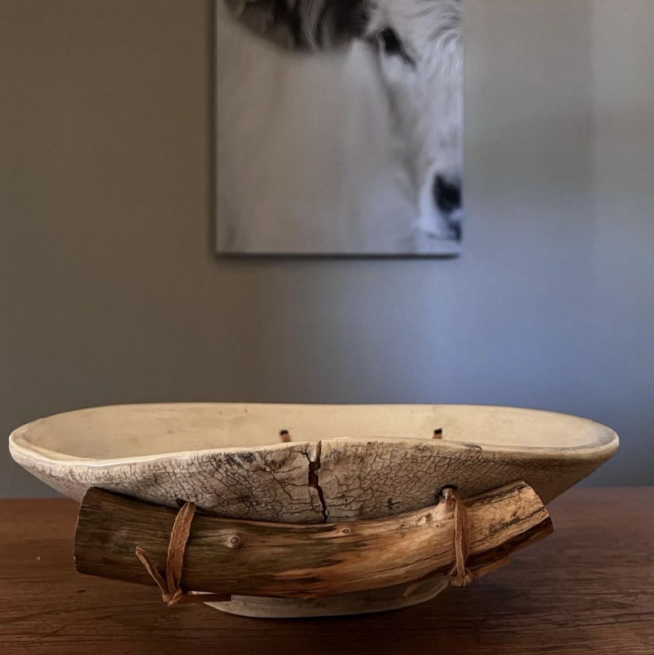 Welcome | Fat Cow Studio