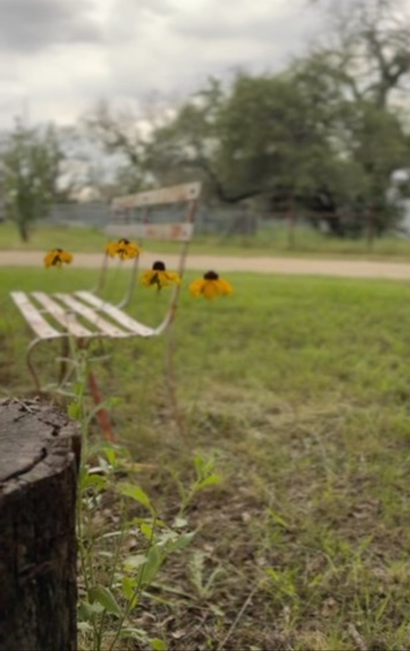 retirement anniversary | Fat Cow Studio